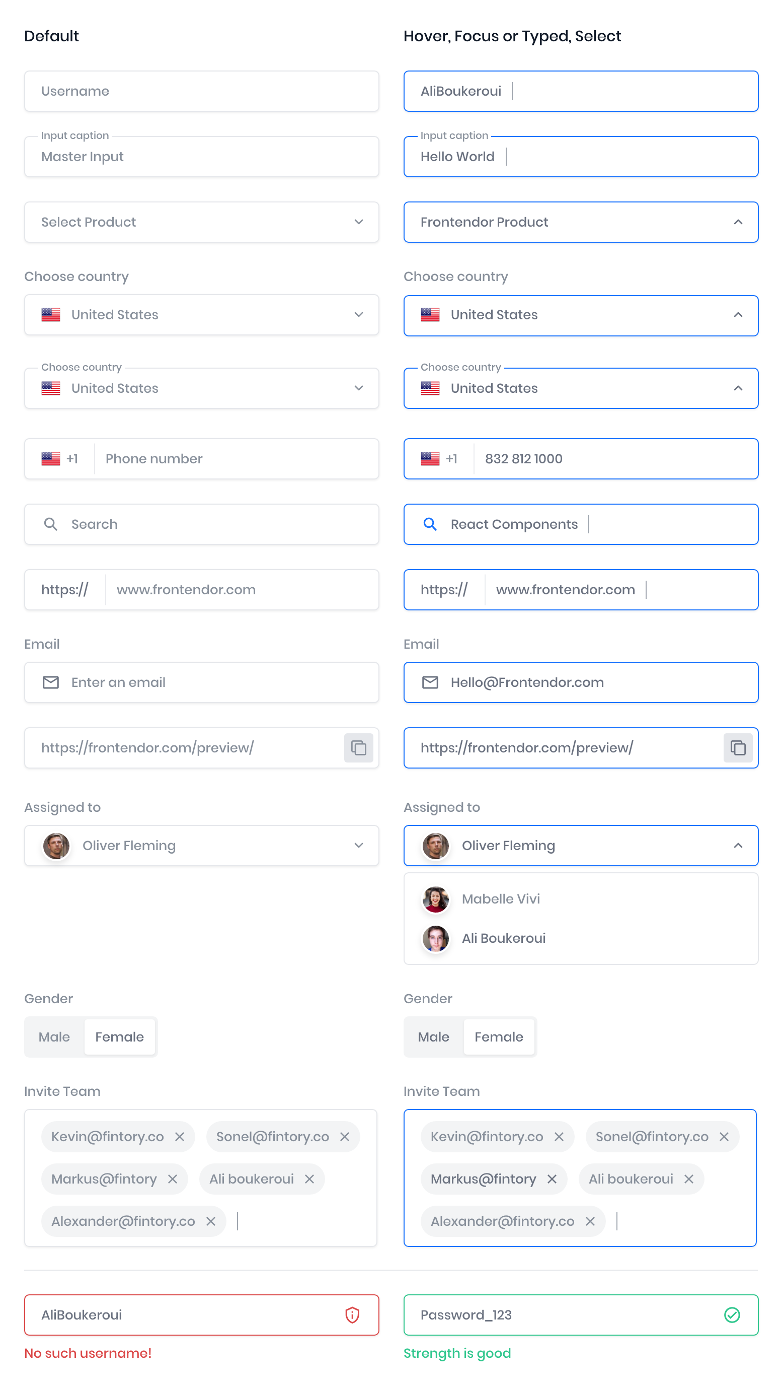 WebApp UI - Preview Page